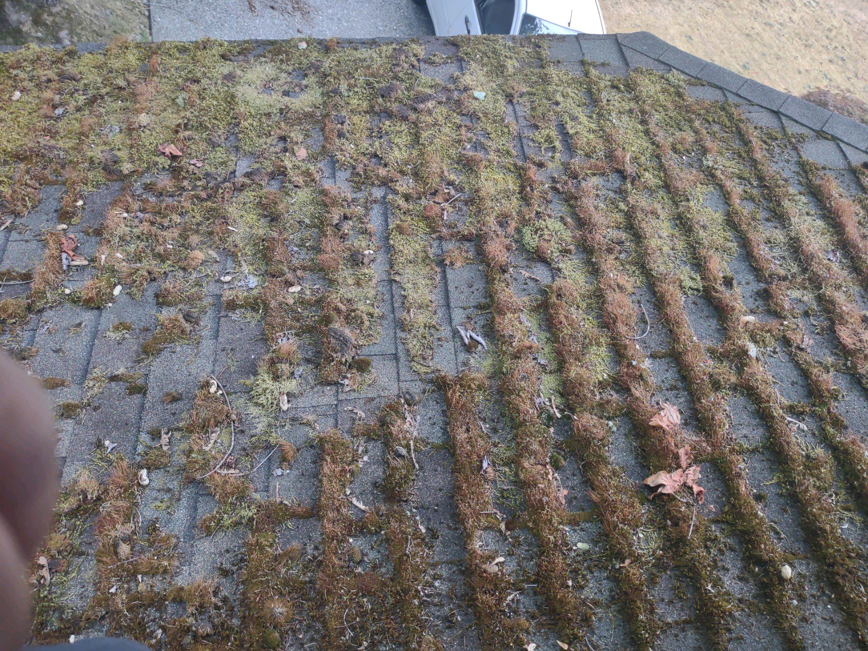 Roofing Contractor Everett, WA | Roof Cleaning Seattle, WA