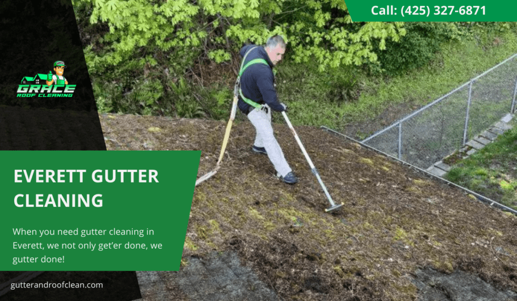 Everett Gutter Cleaning | Grace Roof & Gutter Cleaning